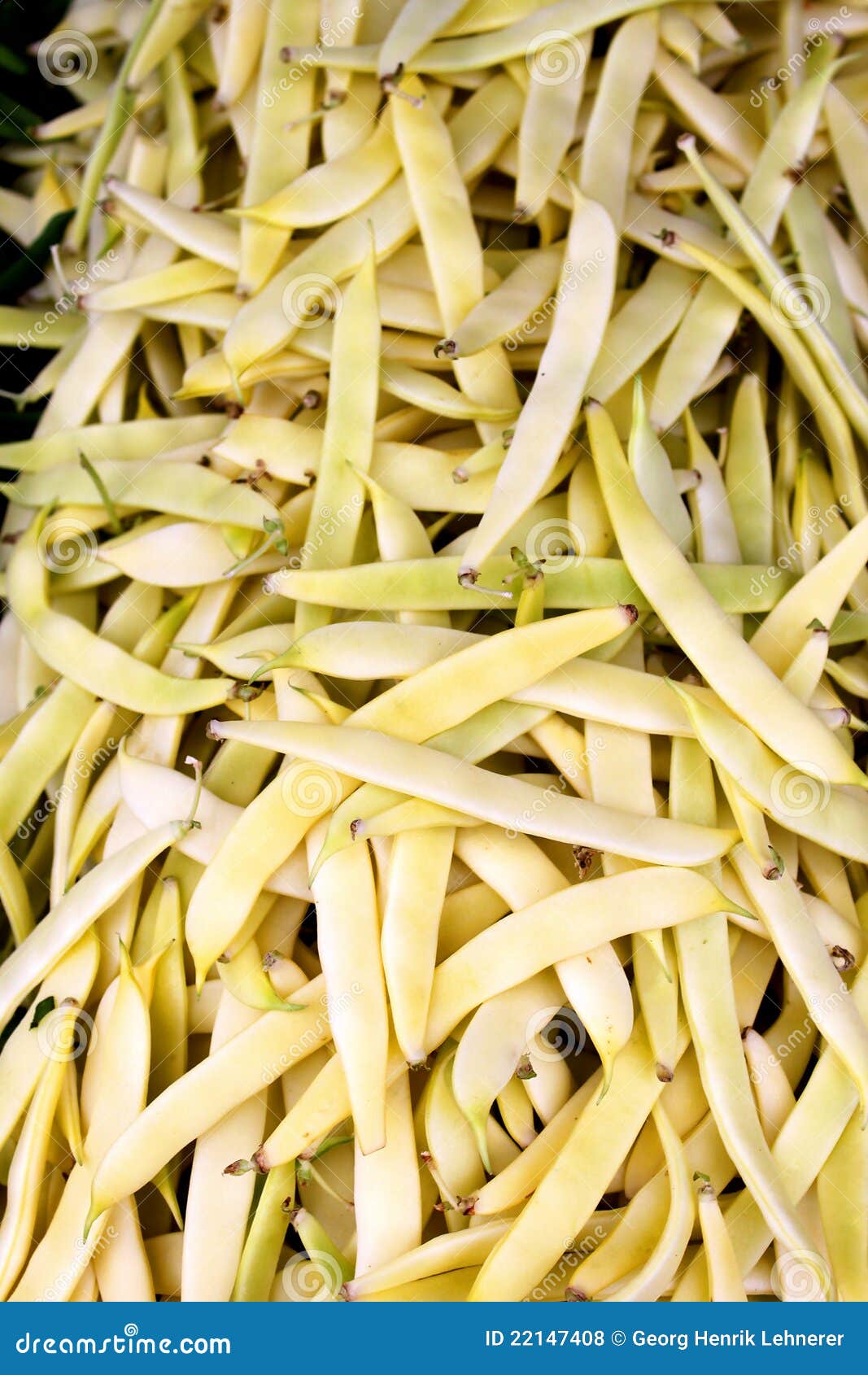 Golden Beans stock photo. Image of saludable, produce - 22147408
