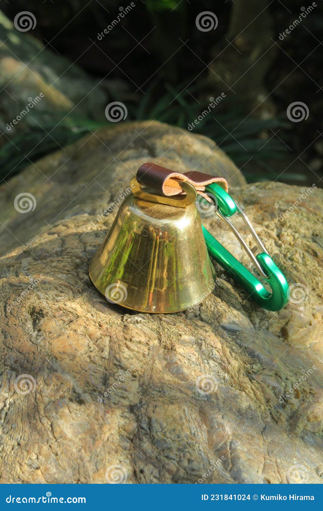 Golden Bear, Bull Figurines With Euro Coins Gold Bars On Fanned Stock ...