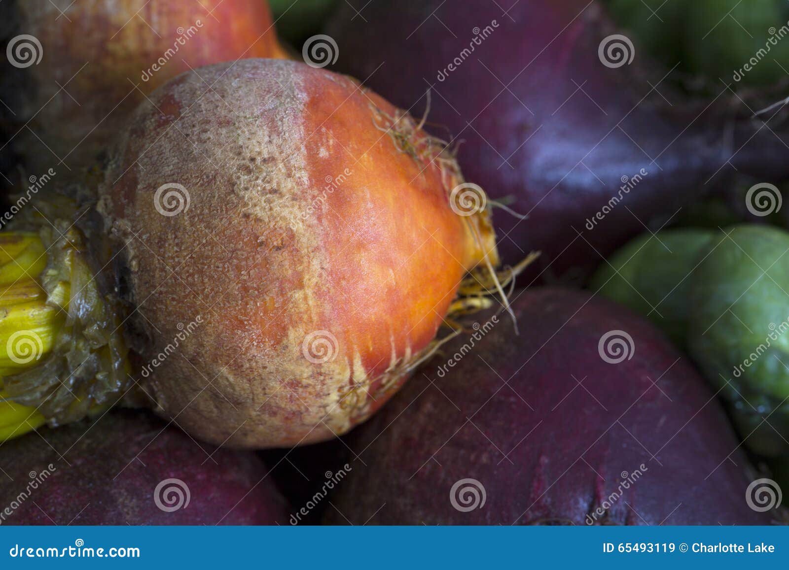 Golden Beetroot stock image. Image of beets, green, vegetable - 65493119