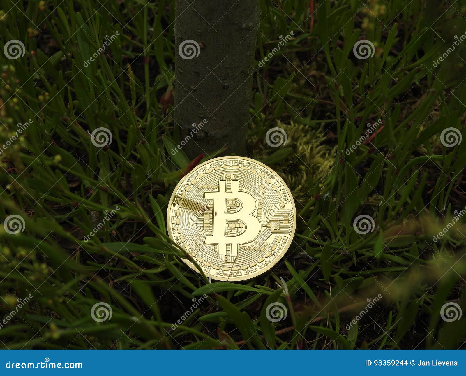 Golden Bitcoin and nature stock photo. Image of bitcoin - 93359244