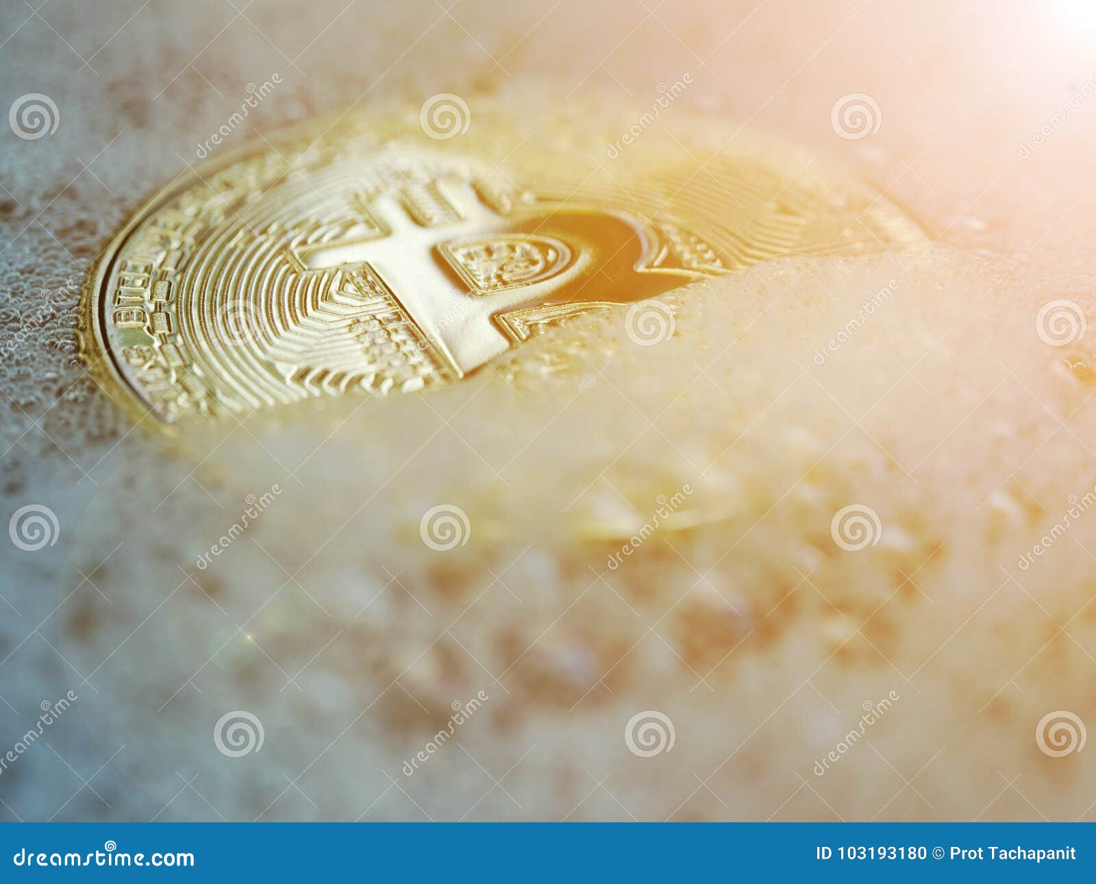 Golden Bitcoin in a Soap Bubble. Concept of Distributed Ledger ...