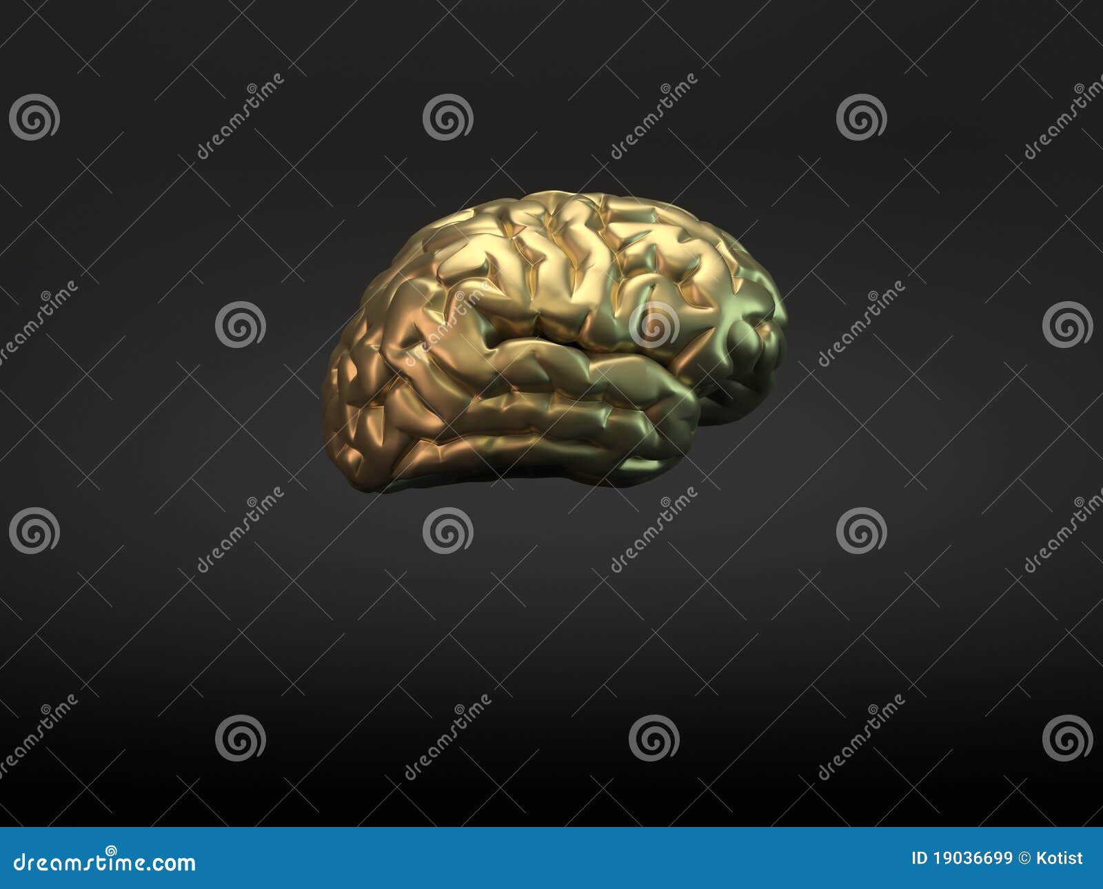 Golden brain stock illustration. Illustration of human - 19036699