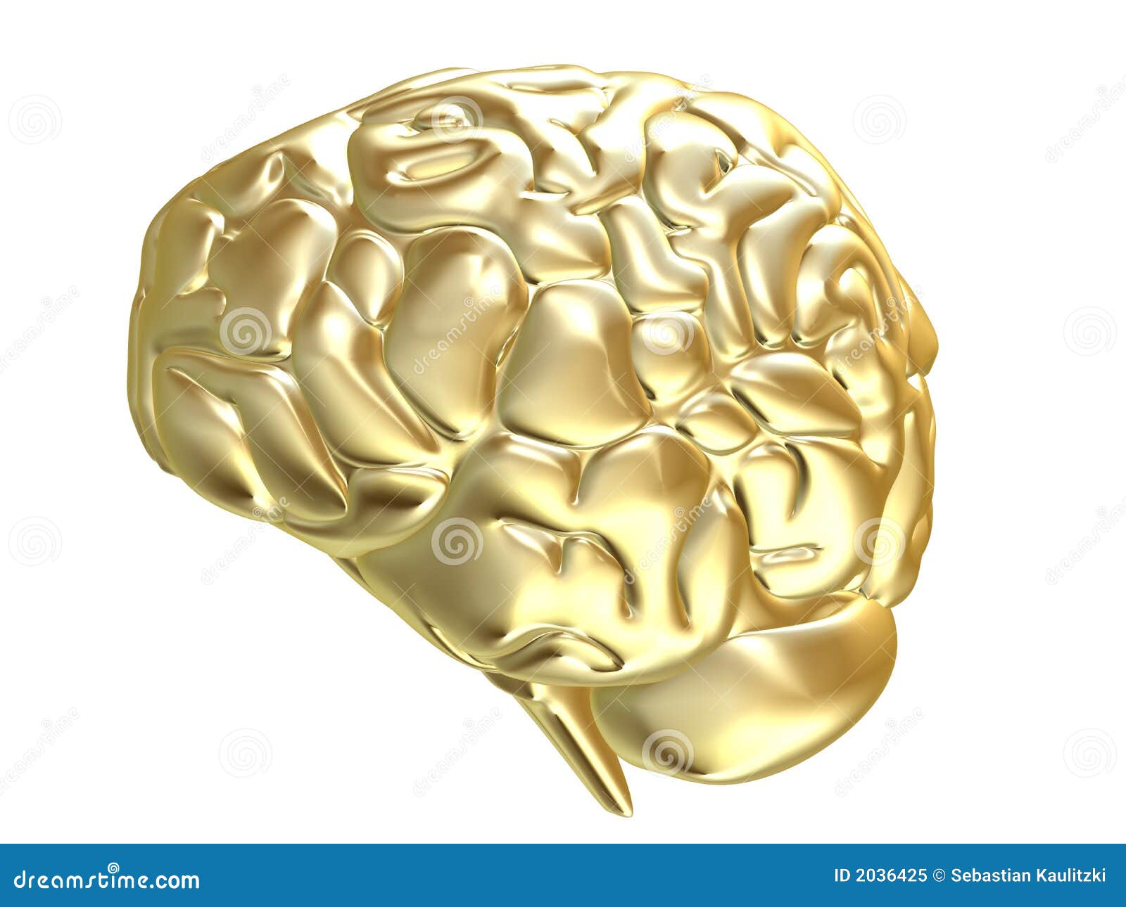 Golden brain stock illustration. Illustration of mind - 2036425