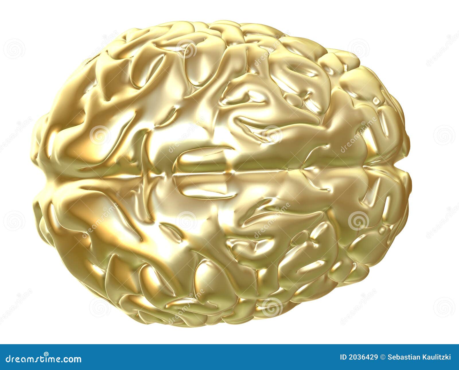 Golden brain stock illustration. Illustration of psychology - 2036429