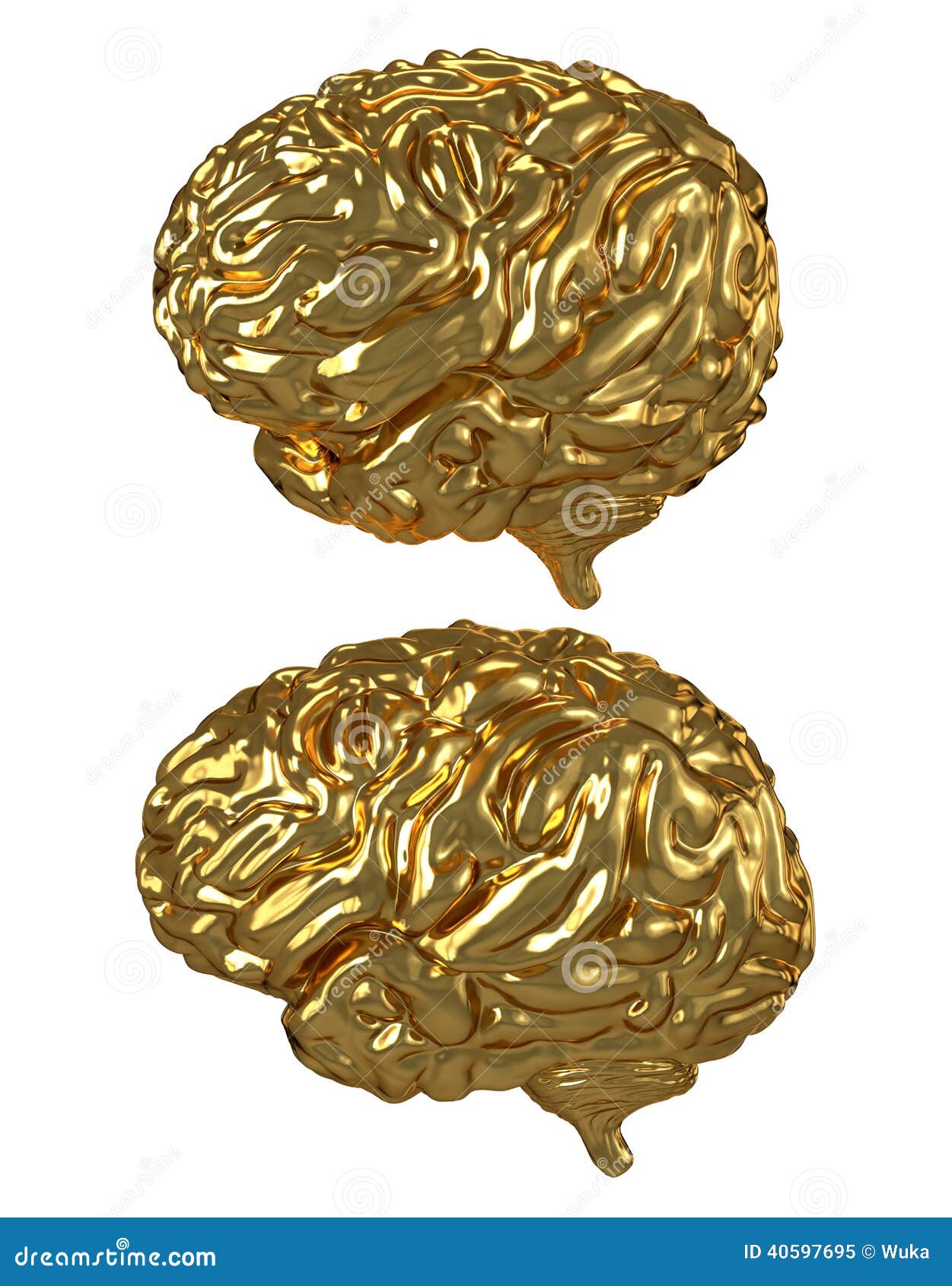 Golden Brain, Smart Mind Illustration, Vector | CartoonDealer.com ...