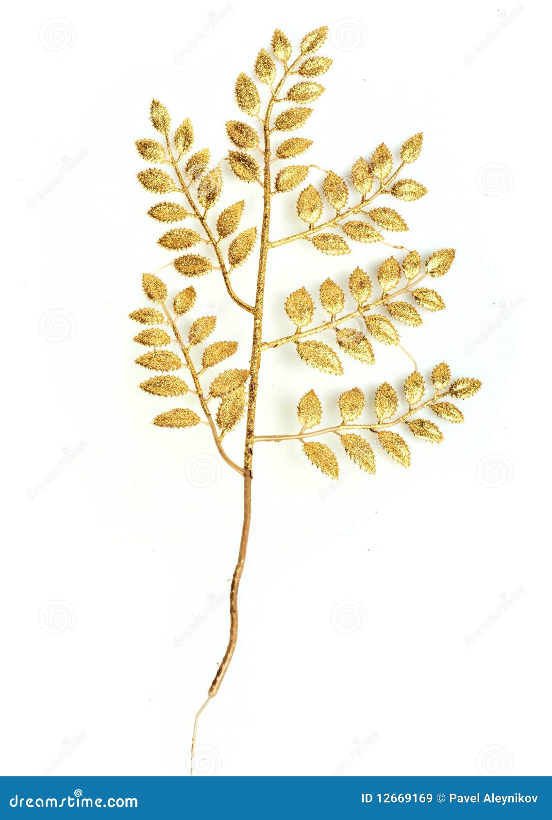 Golden branch stock image. Image of shiny, backgrounds - 12669169