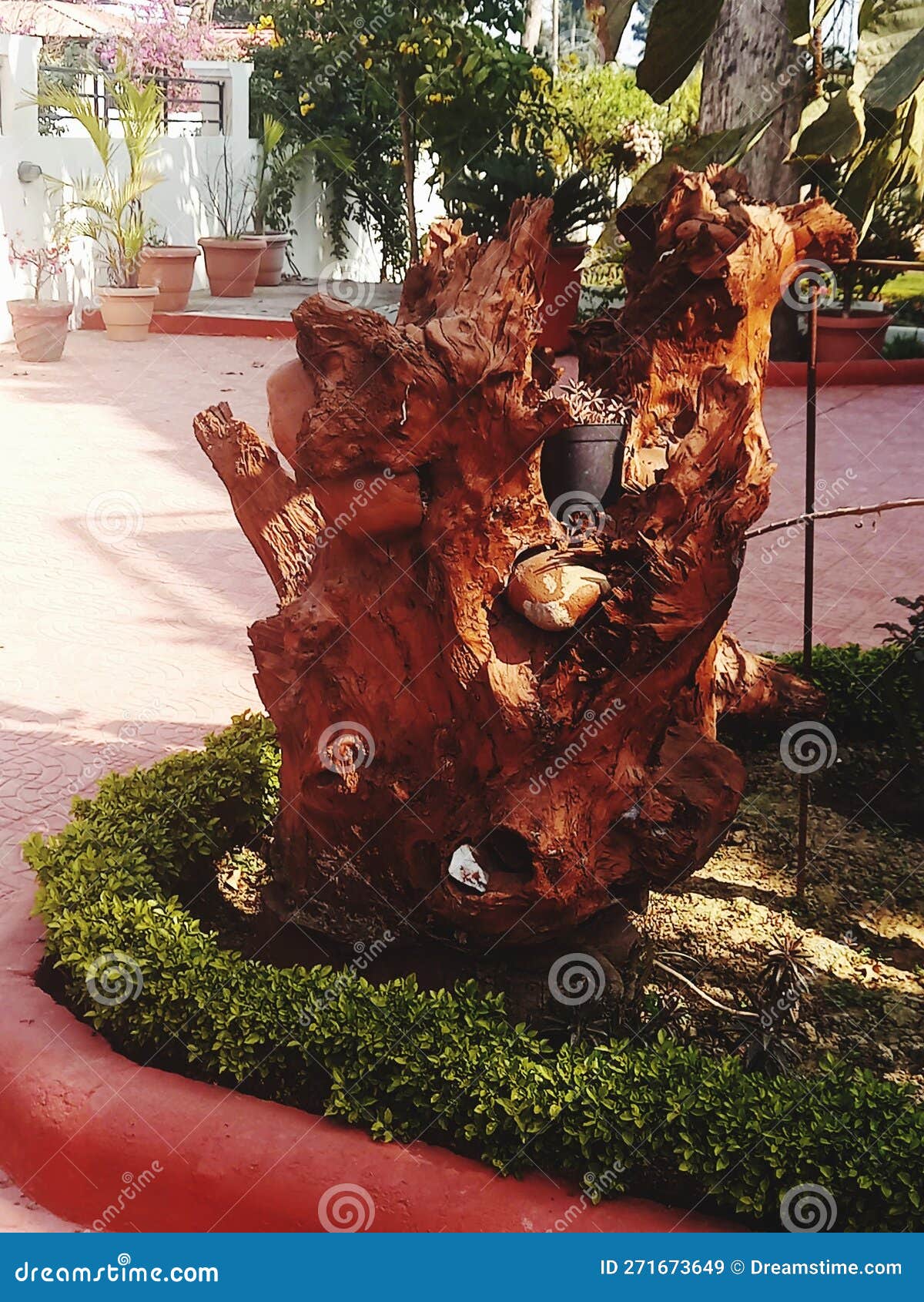 Golden Brown Big Tree Stem Green Trees Background Stock Image - Image ...