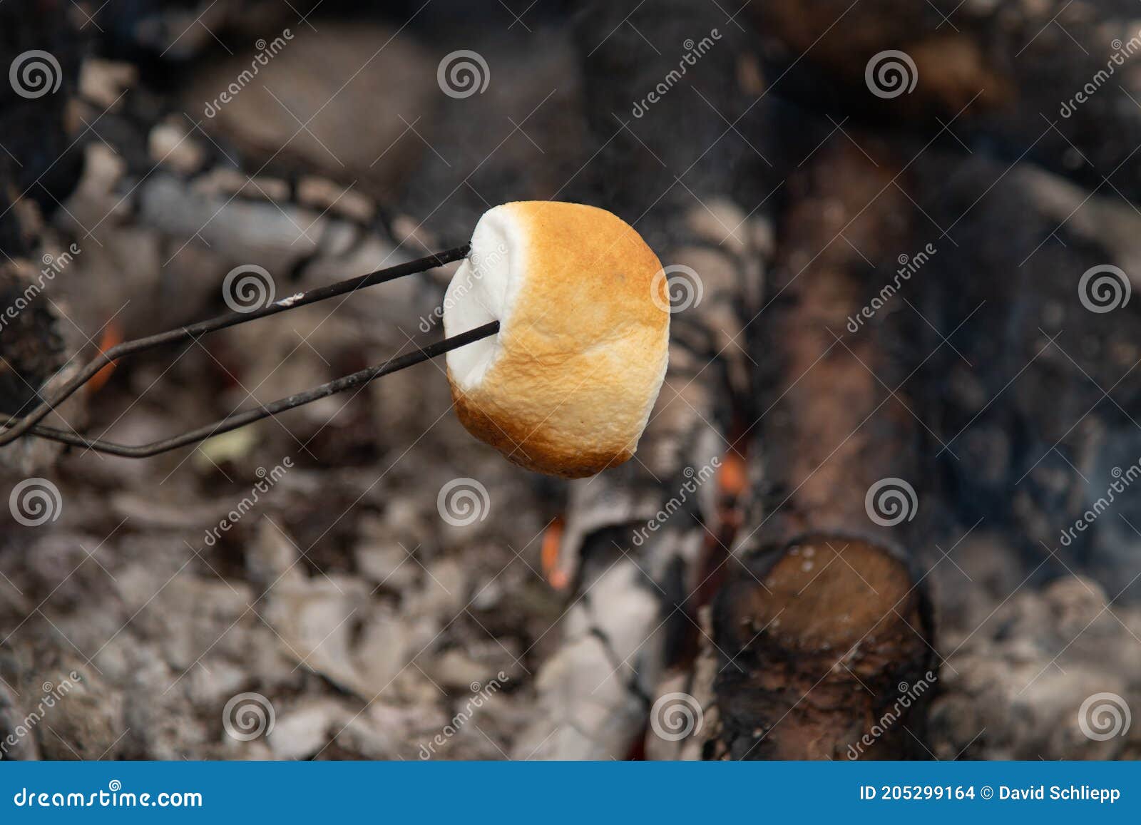 Golden Brown Marshmallow Over Fire Stock Photo - Image of sugar ...
