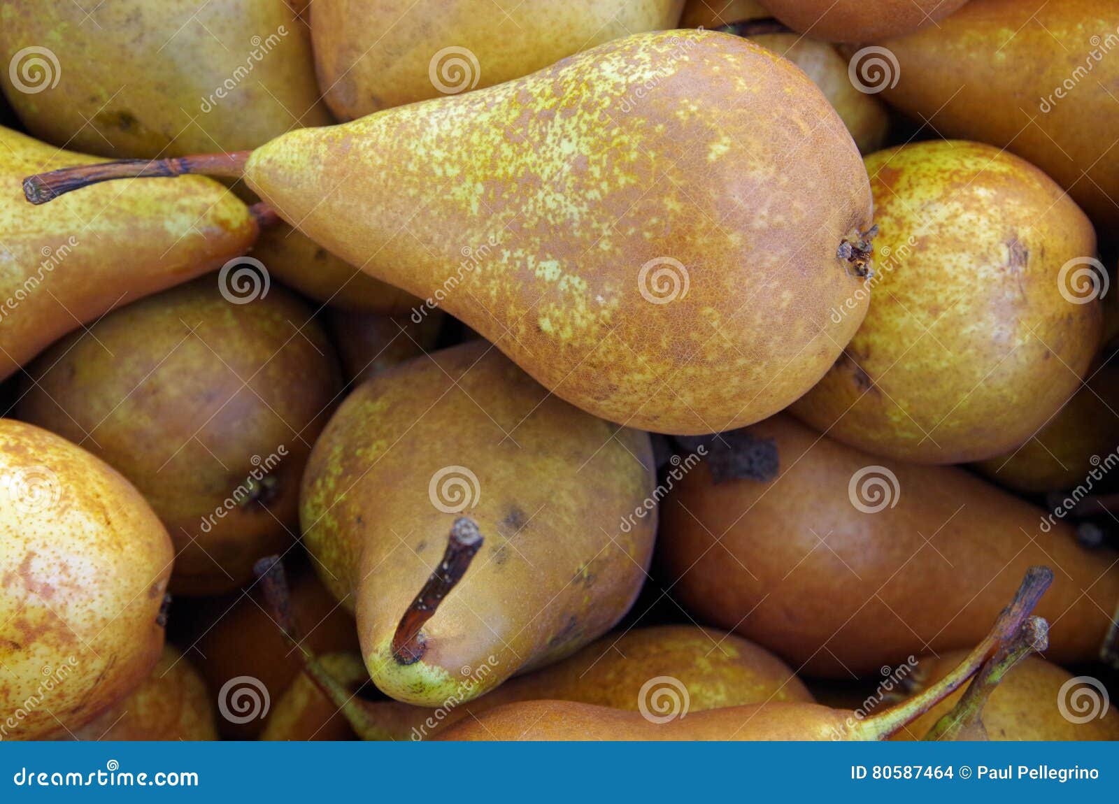 Golden brown pears stock photo. Image of fresh, russet - 80587464