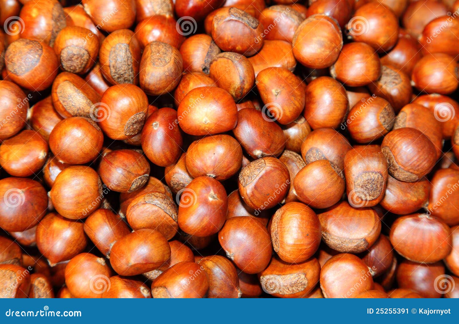 Golden Brown Roasted Chestnuts on Top View Stock Image - Image of close ...