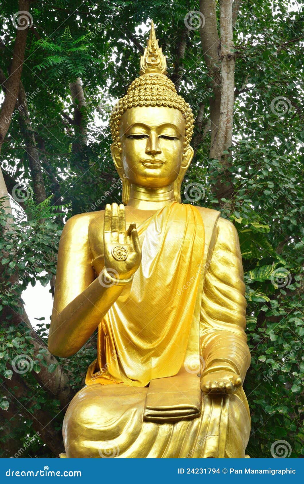 Golden buddha statue stock photo. Image of golden, faith - 24231794