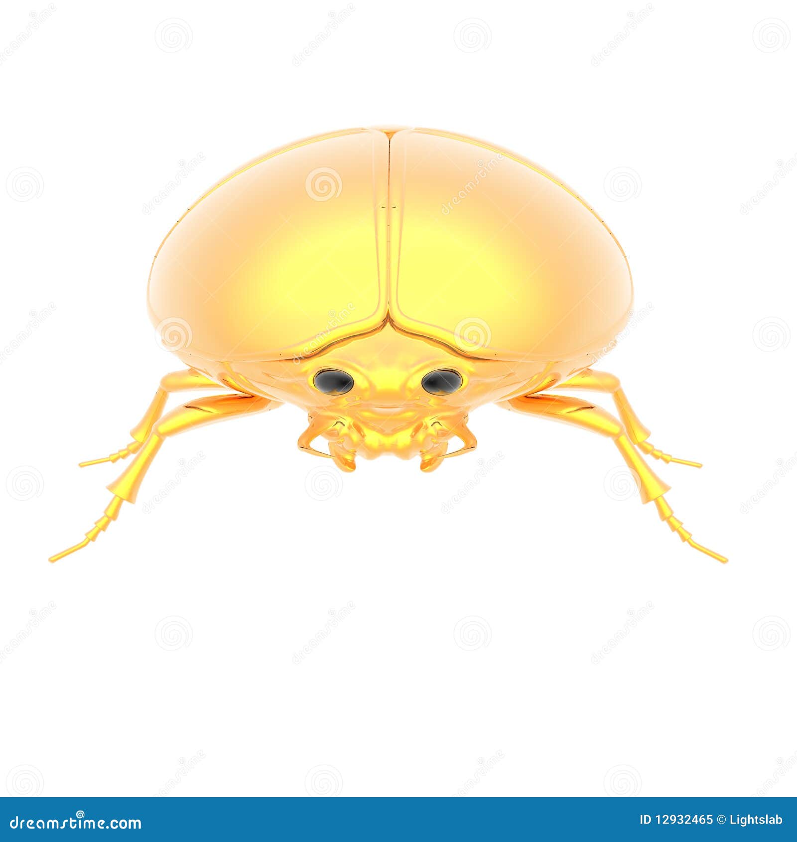 Golden bug stock illustration. Illustration of macro - 12932465