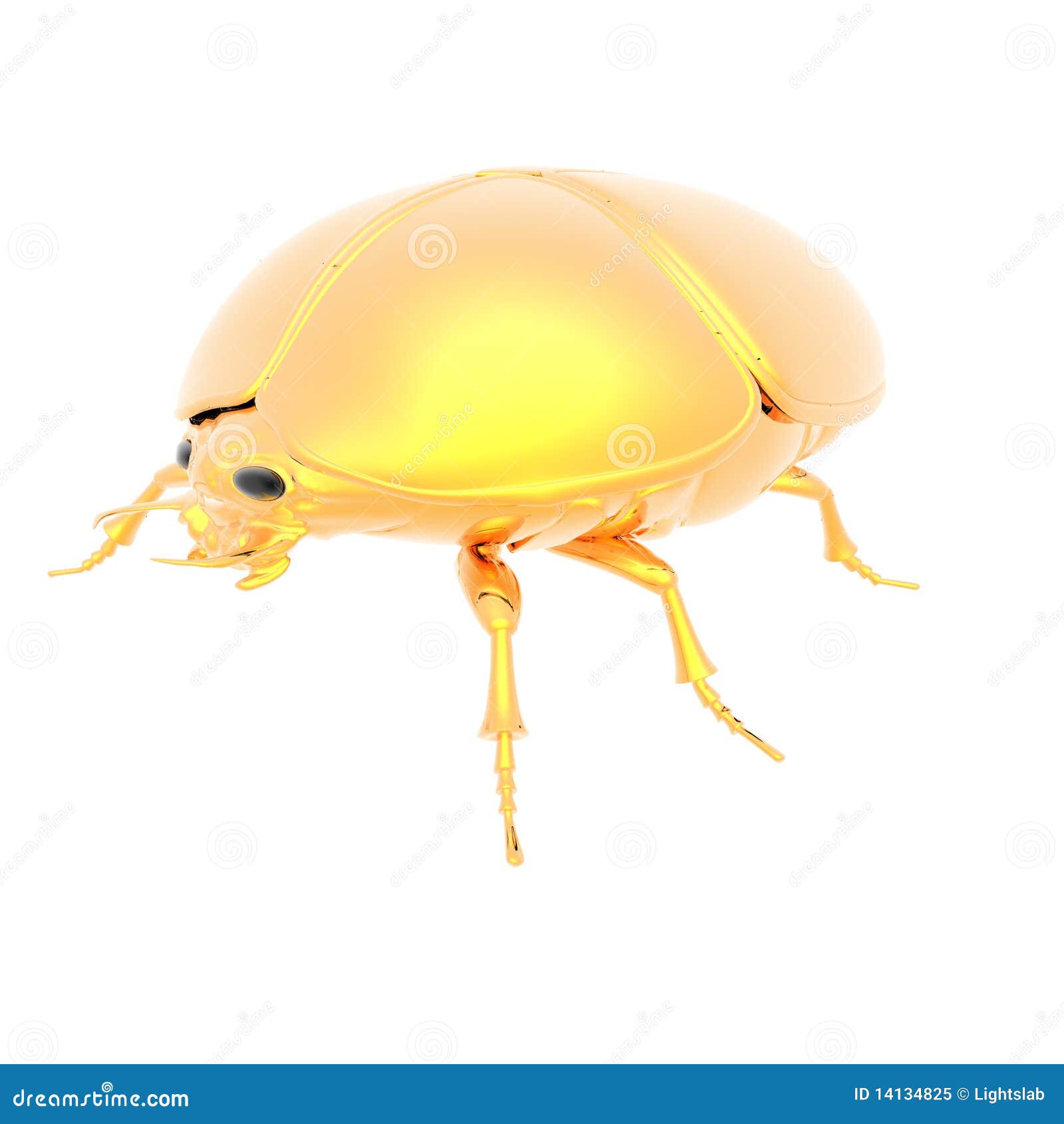Golden Bug Picture. Image: 14134825