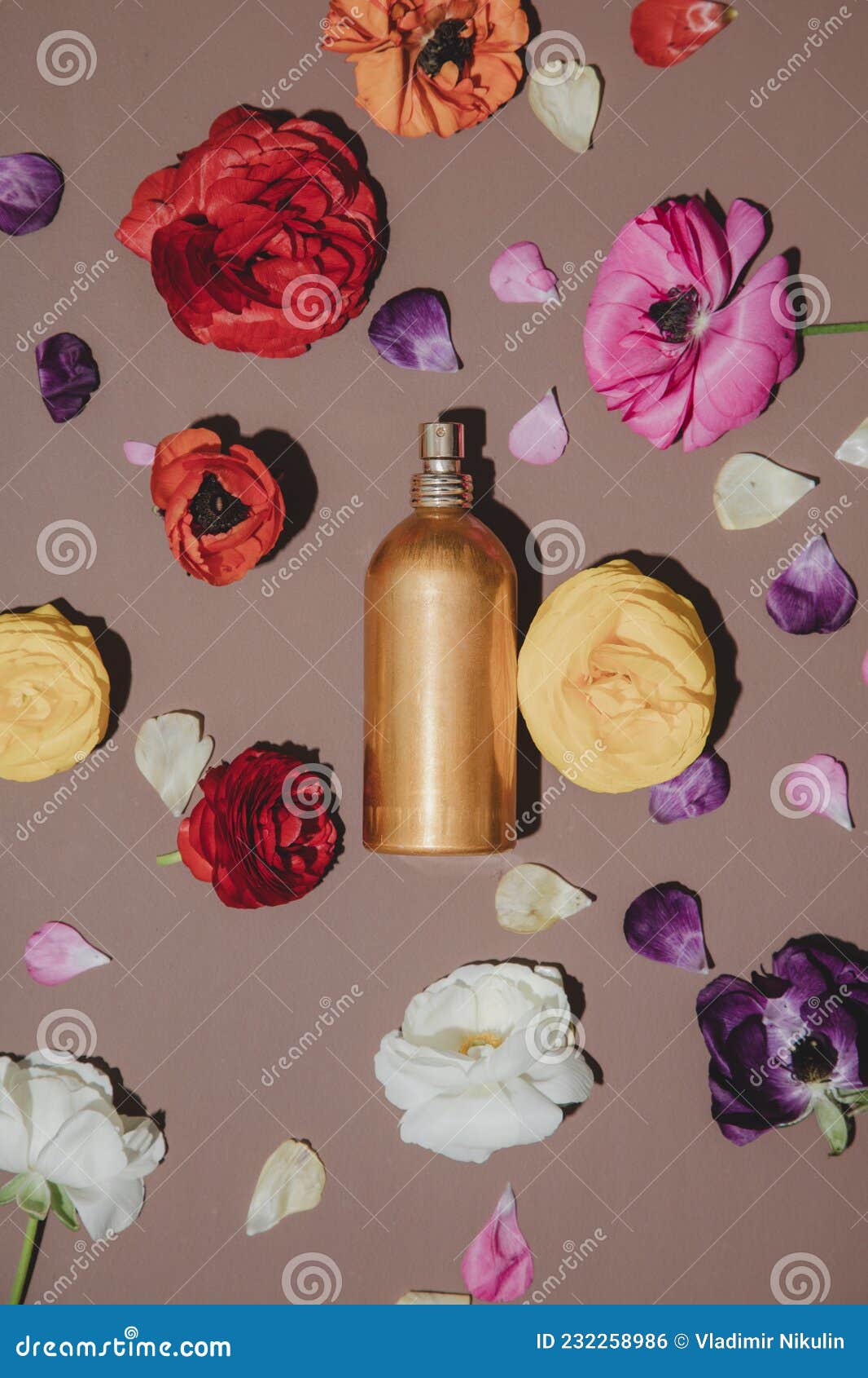 Golden buttercup flowers stock photo. Image of flowers - 232258986