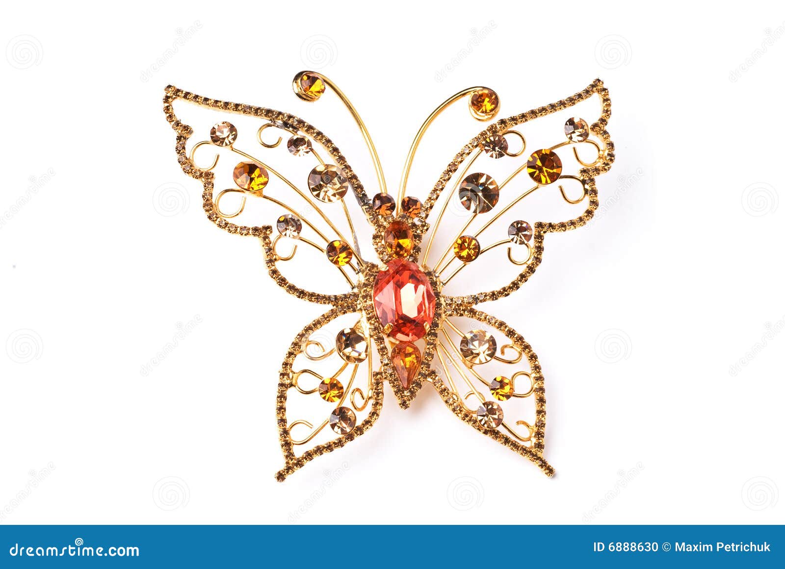 Golden Butterfly On Daisy Flowers Royalty-Free Stock Image ...
