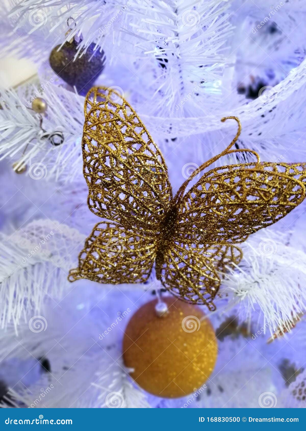 Golden Butterfly-shaped on the Christmas Tree Stock Photo - Image of ...