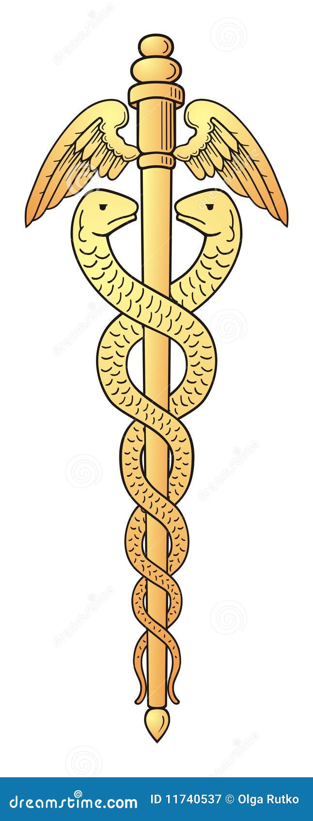 Golden Caduceus stock vector. Illustration of isolated - 11740537
