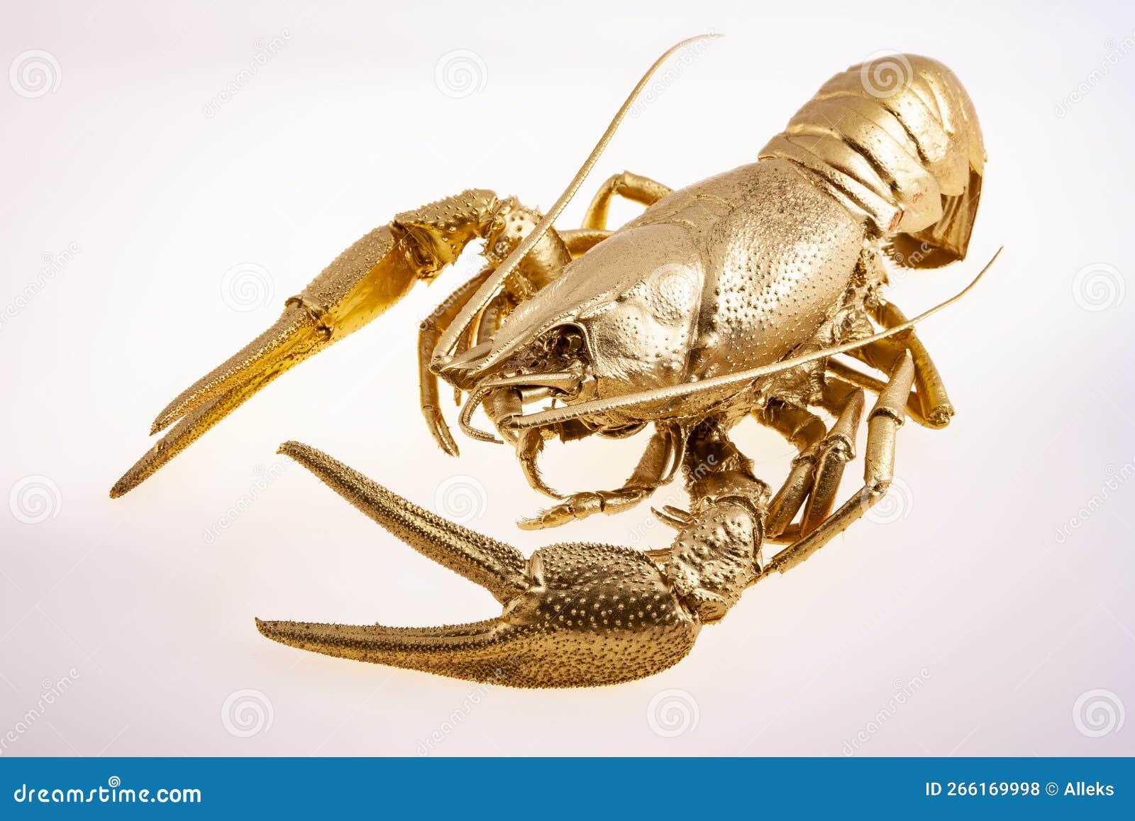 Golden cancer closeup stock photo. Image of macro, biology - 266169998