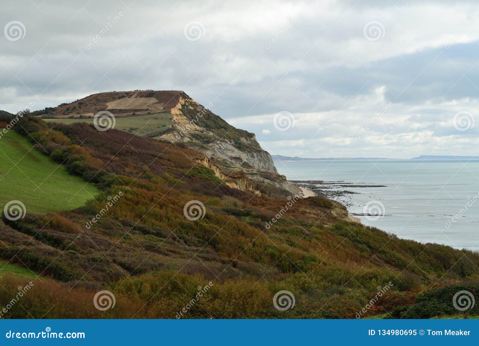 Golden cap stock image. Image of countryside, idyllic - 134980695