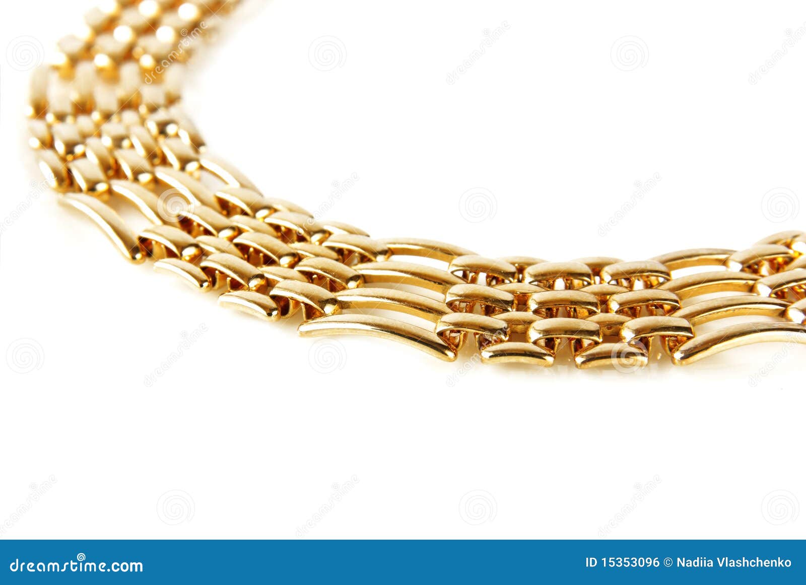 Golden Chain Tree With Long, Hanging Yellow Flower Clusters Stock ...
