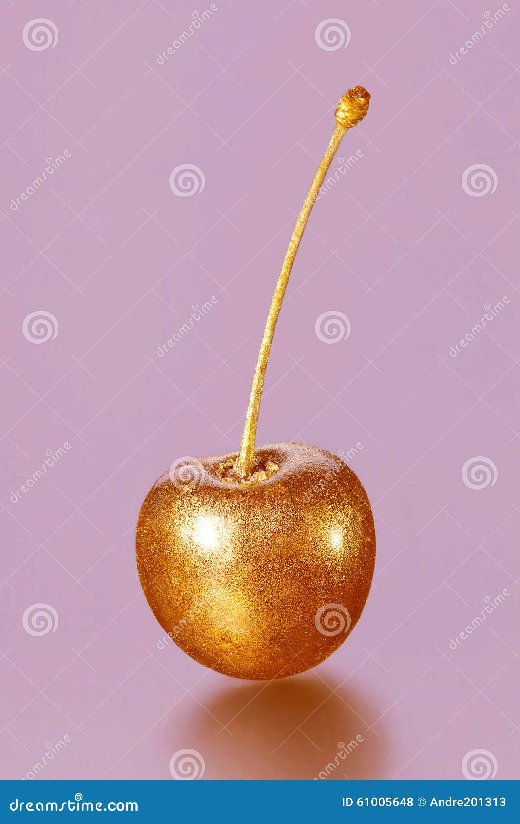 Golden Cherry on a Pink Background Stock Photo - Image of closeup ...
