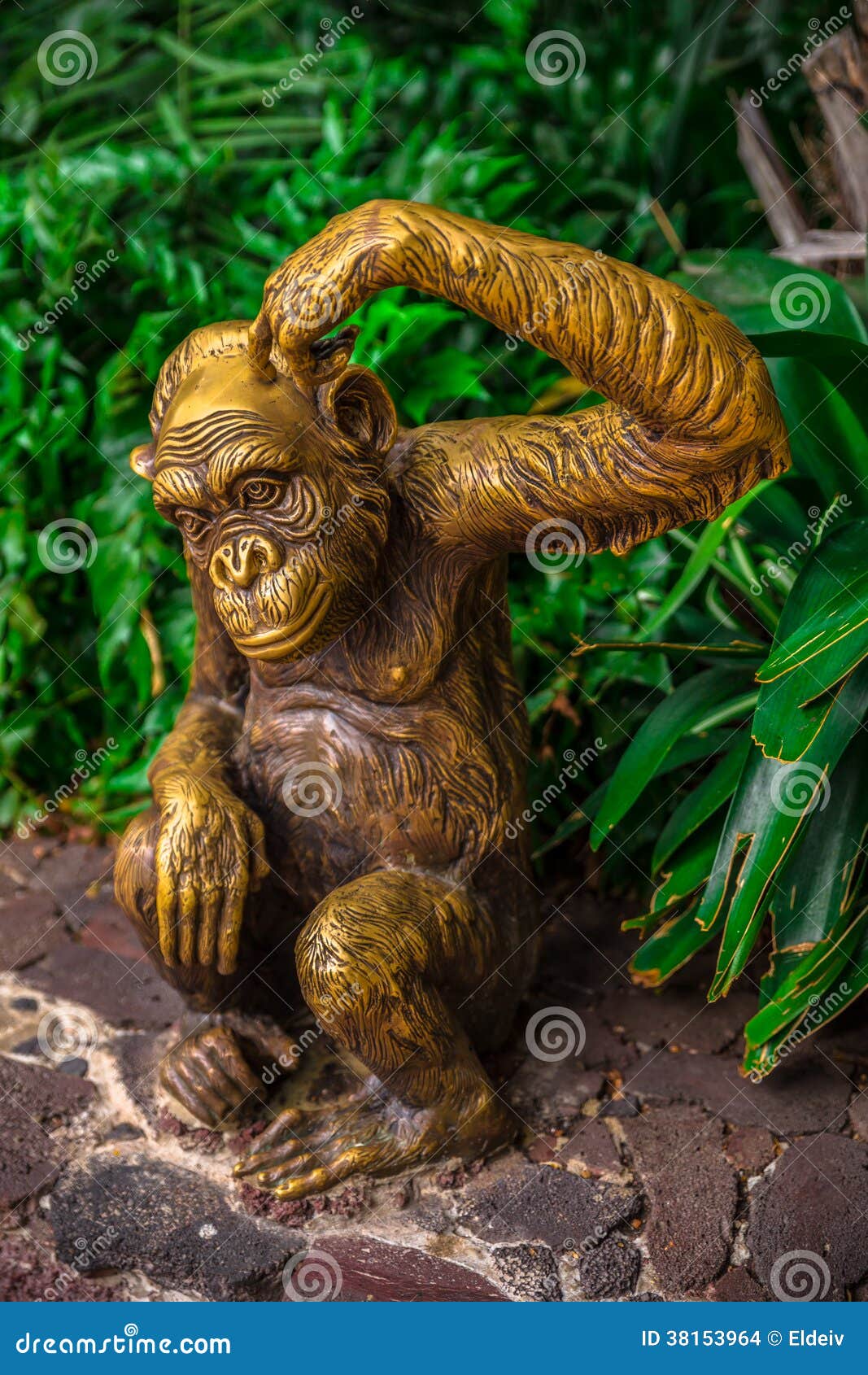 Golden Chimpanzee Statue stock photo. Image of monkey - 38153964