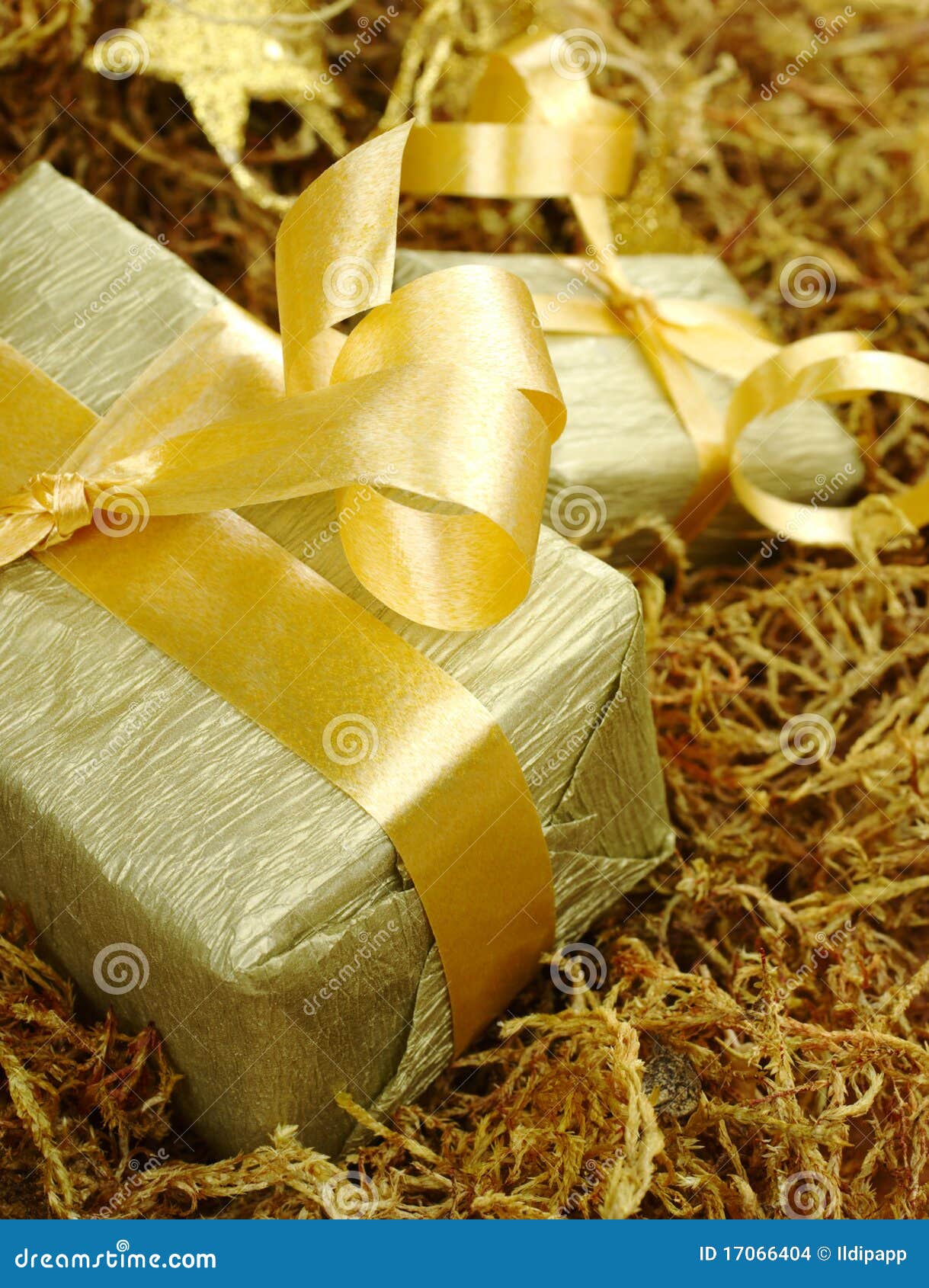 Golden Christmas Gift stock photo. Image of wrap, gold - 17066404