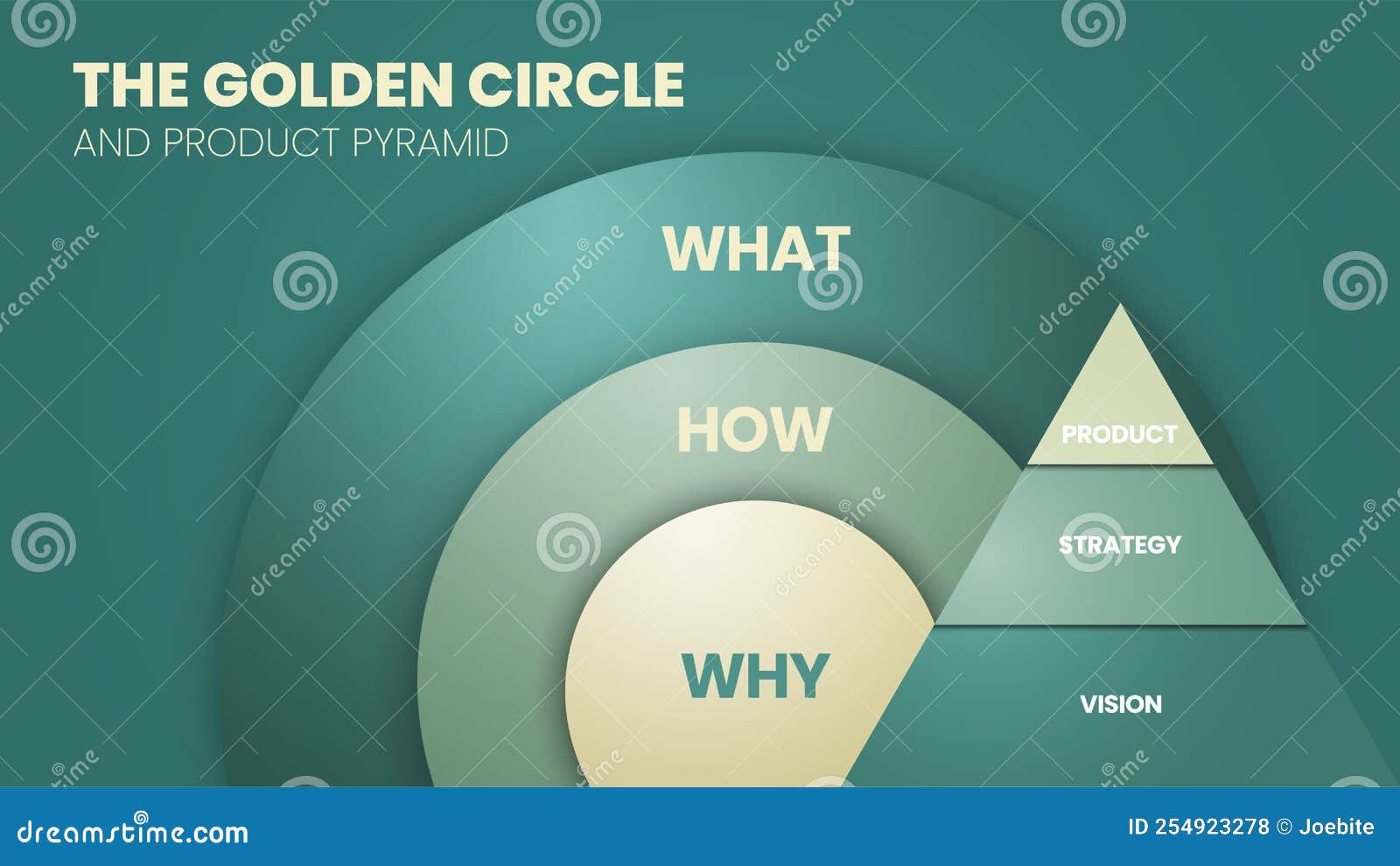 The Golden Circle and Brain Illustration of Simon Sinek and Product ...