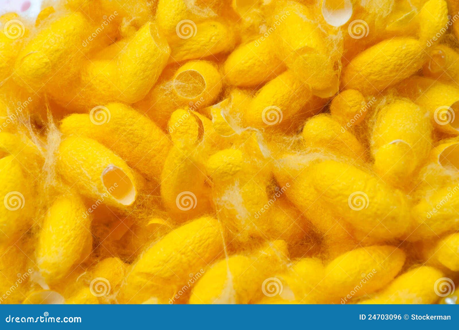 Golden cocoon back ground stock photo. Image of gold - 24703096