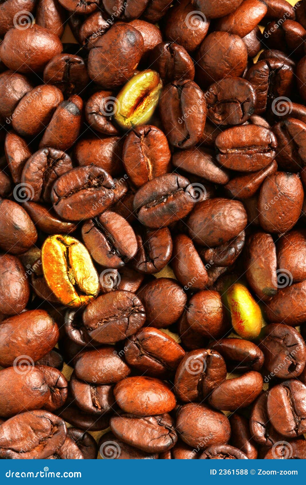 Golden coffee beans stock photo. Image of details, esspresso - 2361588