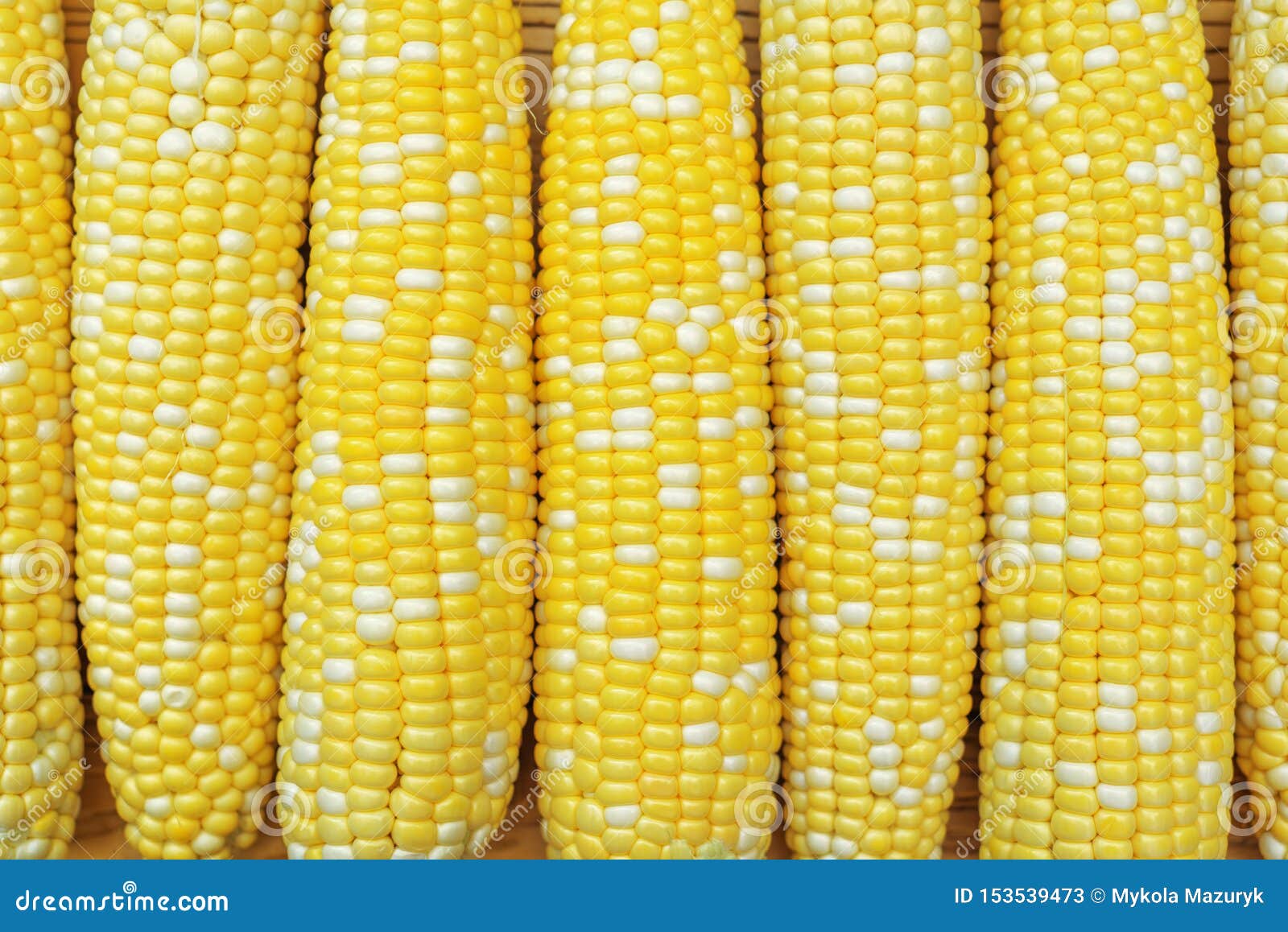 Golden Color Maize Background Closeup Stock Image - Image of ...
