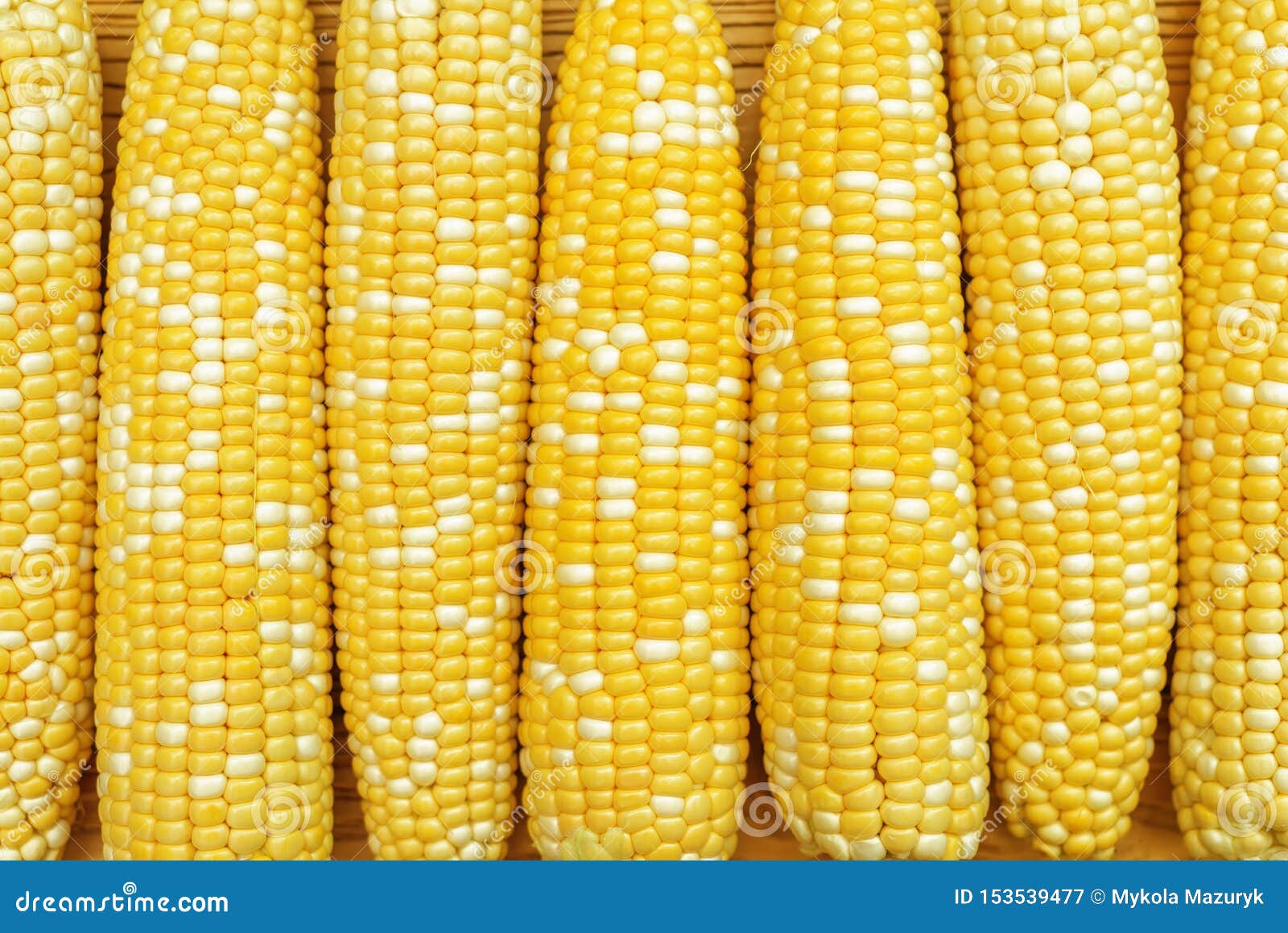 Golden Color Maize Background Closeup Stock Image - Image of ...