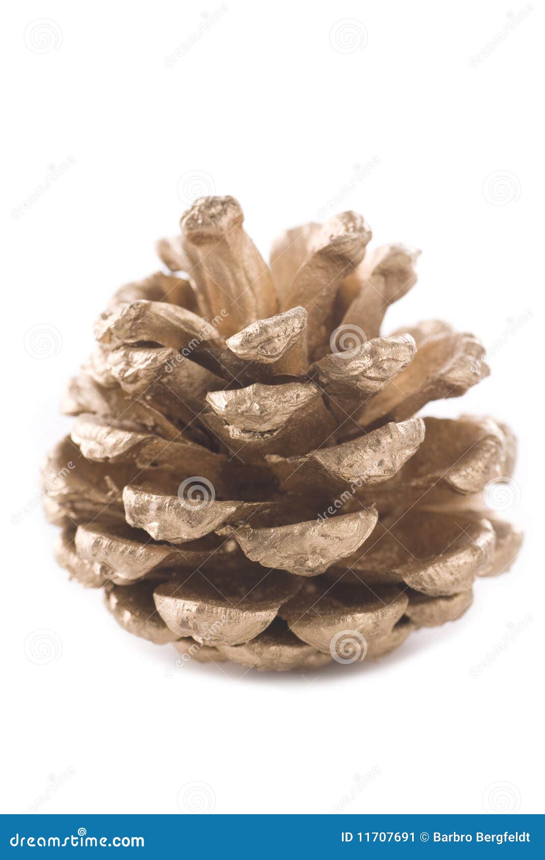 Golden Cone stock image. Image of christmas, white, close - 11707691