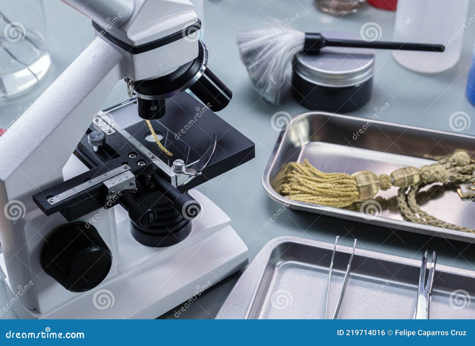 Golden Cord Under a Microscope Analysed in a Crime Lab Stock Photo ...