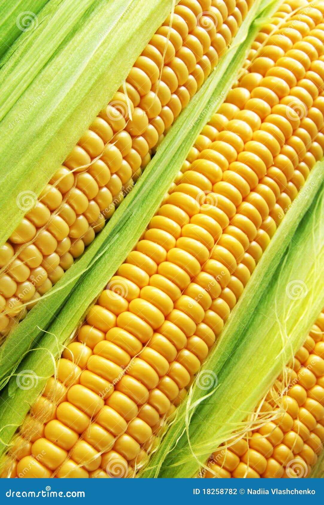 Golden Corn Texture Royalty-Free Stock Photo | CartoonDealer.com #82111113