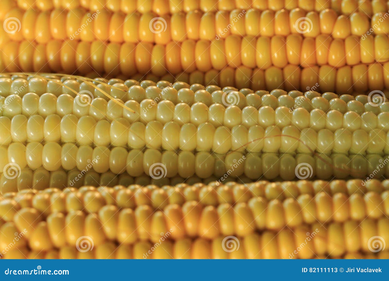 Corn Texture As Background Stock Photo | CartoonDealer.com #111394848