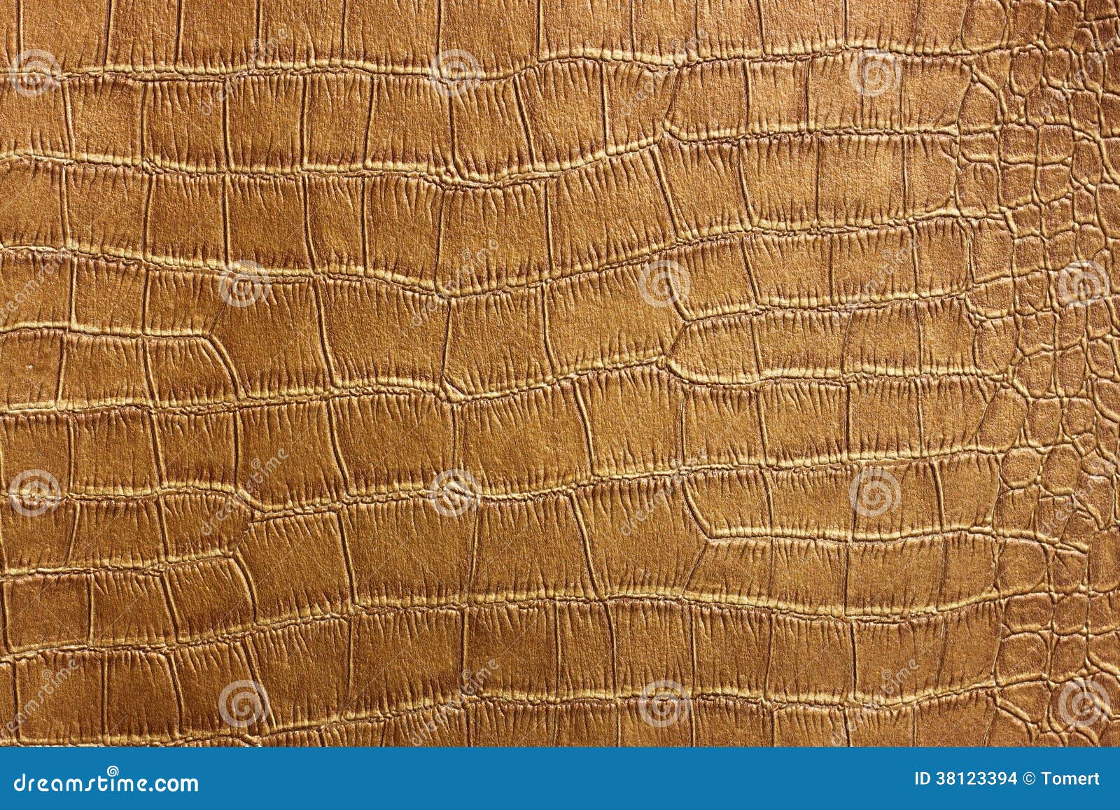Golden Crocodile Skin Texture Closeup Fashion Royalty-Free Stock Image ...