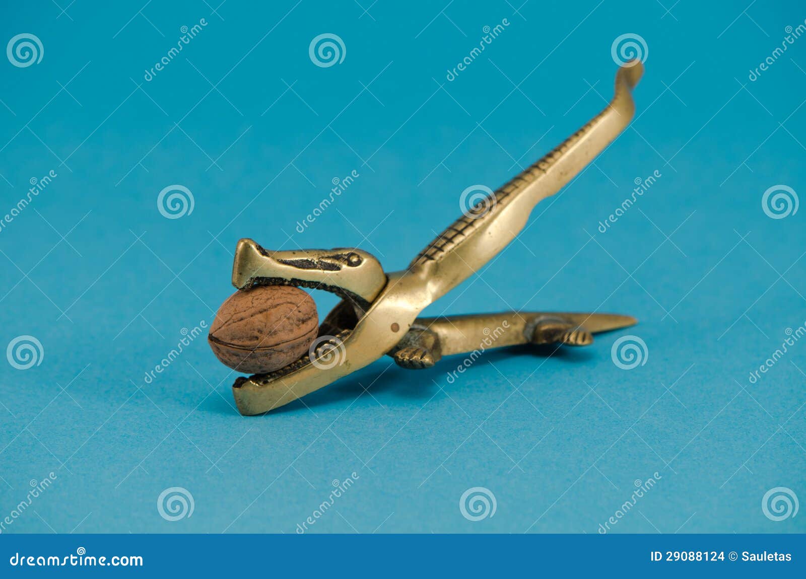 Golden Crocodile Walnut Greek Nut Crush Tool Blue Stock Photo - Image ...