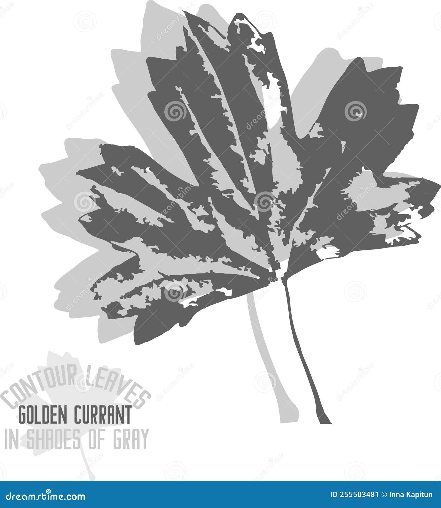 Golden Currant Leafs Pattern Vector Illustration Stock Vector ...
