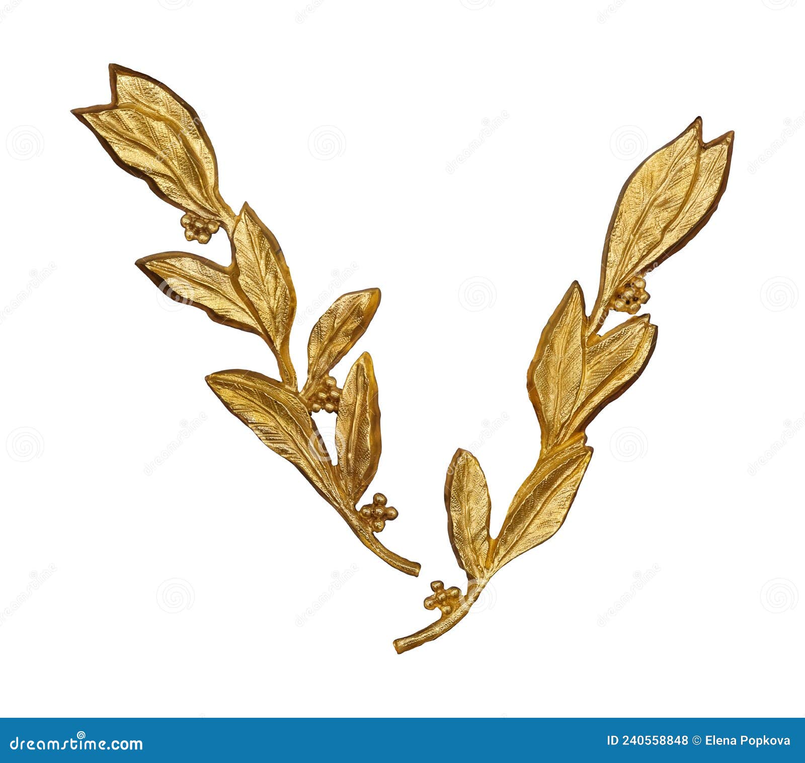 Golden Decorative Element with Floral Pattern Isolated on White ...