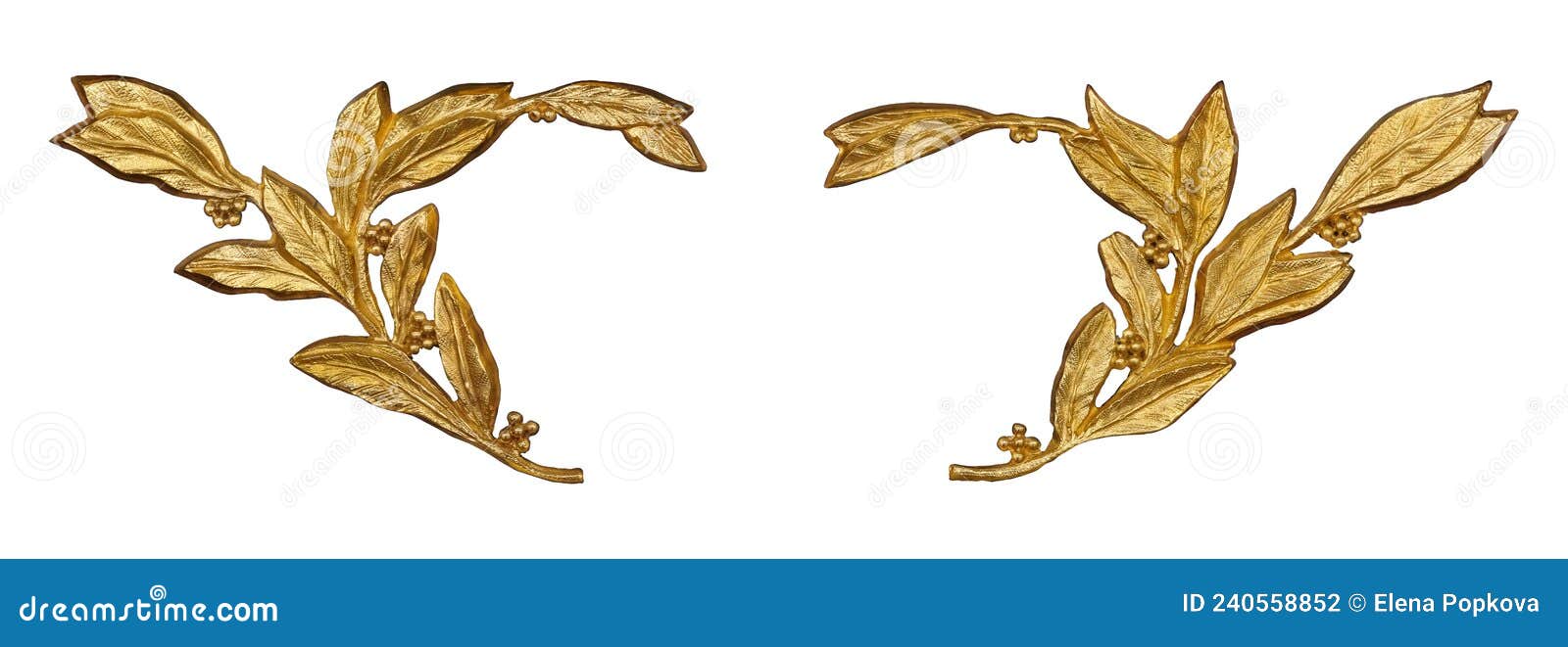 Golden Decorative Element with Floral Pattern Isolated on White ...