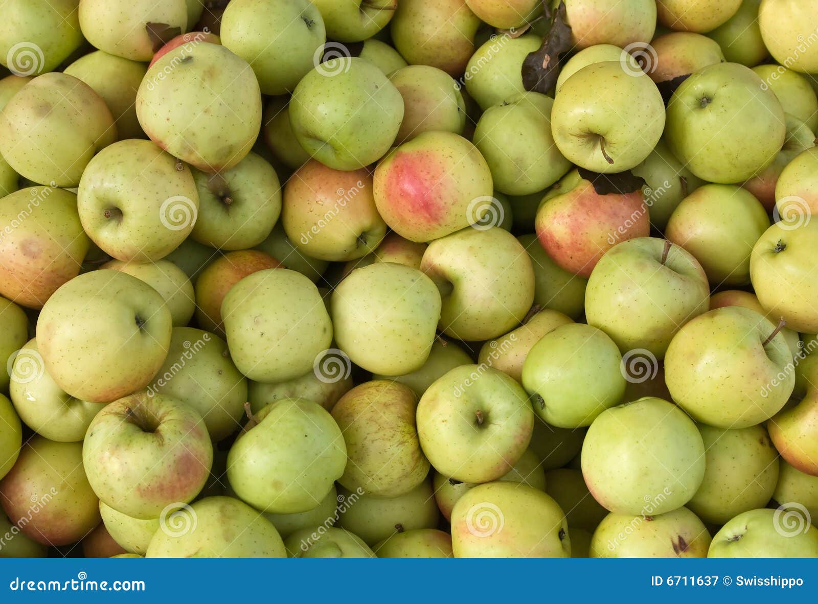 Golden delicious stock image. Image of food, color, fruit - 6711637