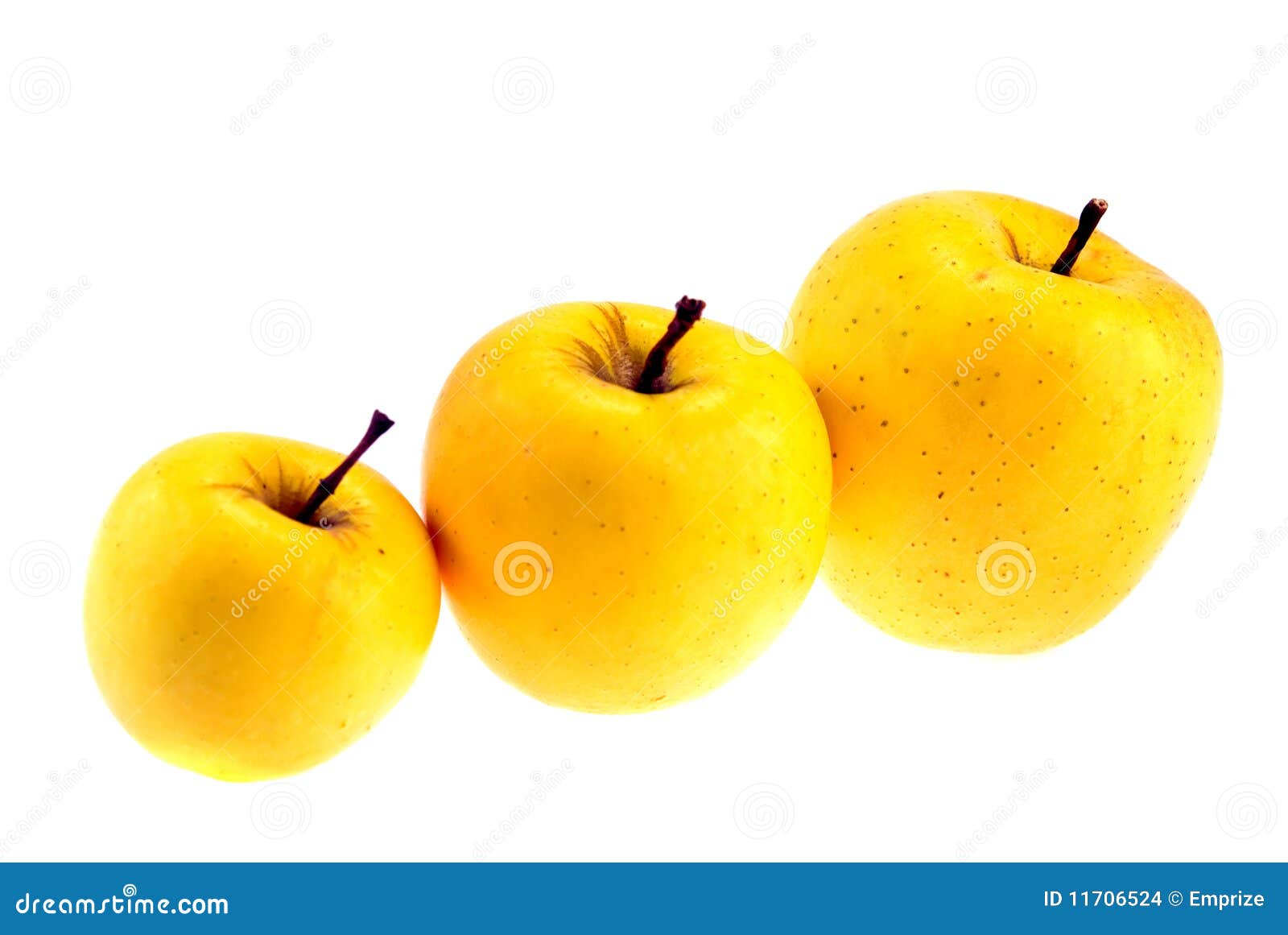 Golden delicious apples stock photo. Image of form, fruit - 11706524