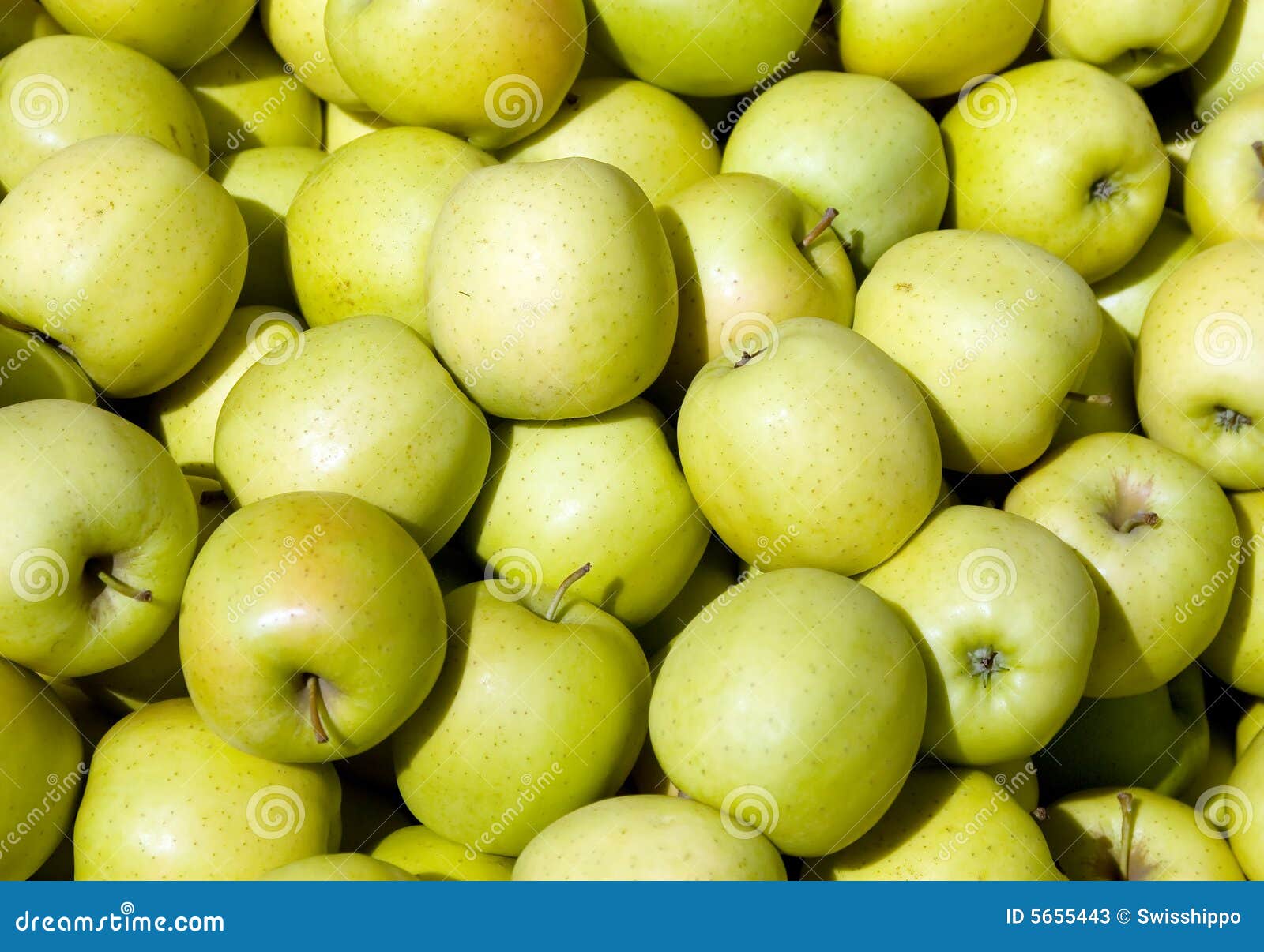Golden Delicious Apples stock image. Image of dinner, clipping - 5655443