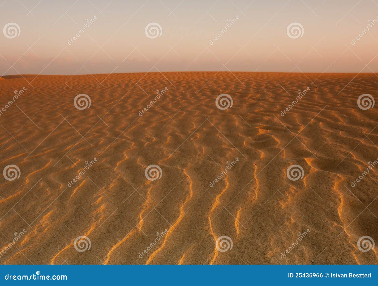 Golden Desert stock photo. Image of dune, sunshine, warm - 25436966