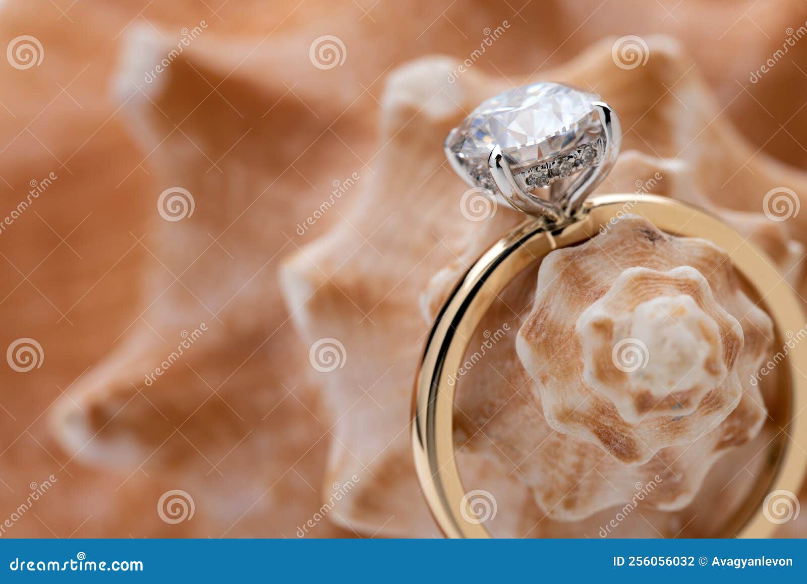 Golden Diamond Ring on Seashell Stock Photo - Image of fashion ...