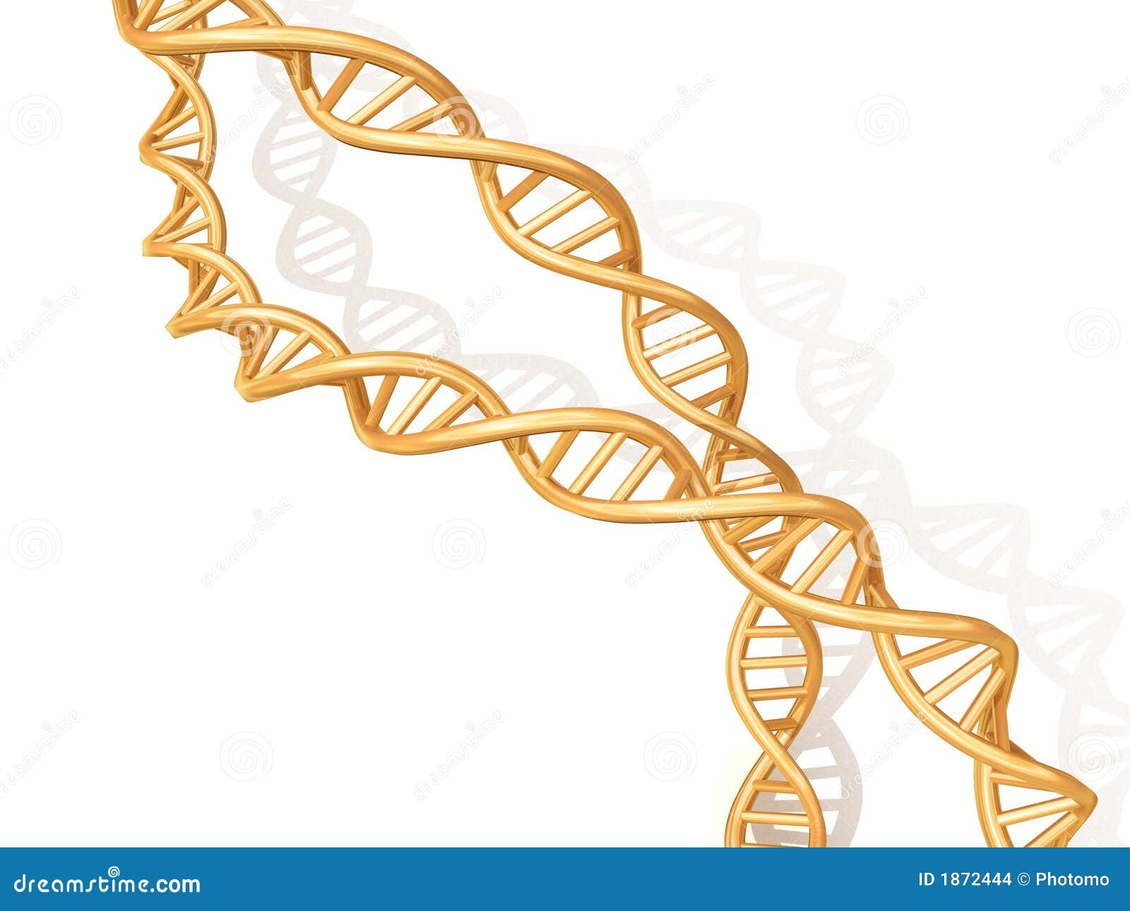 Gene Dna Strings Spiral Object Red Blood Vessel, Veins, Arteries, Aorta ...