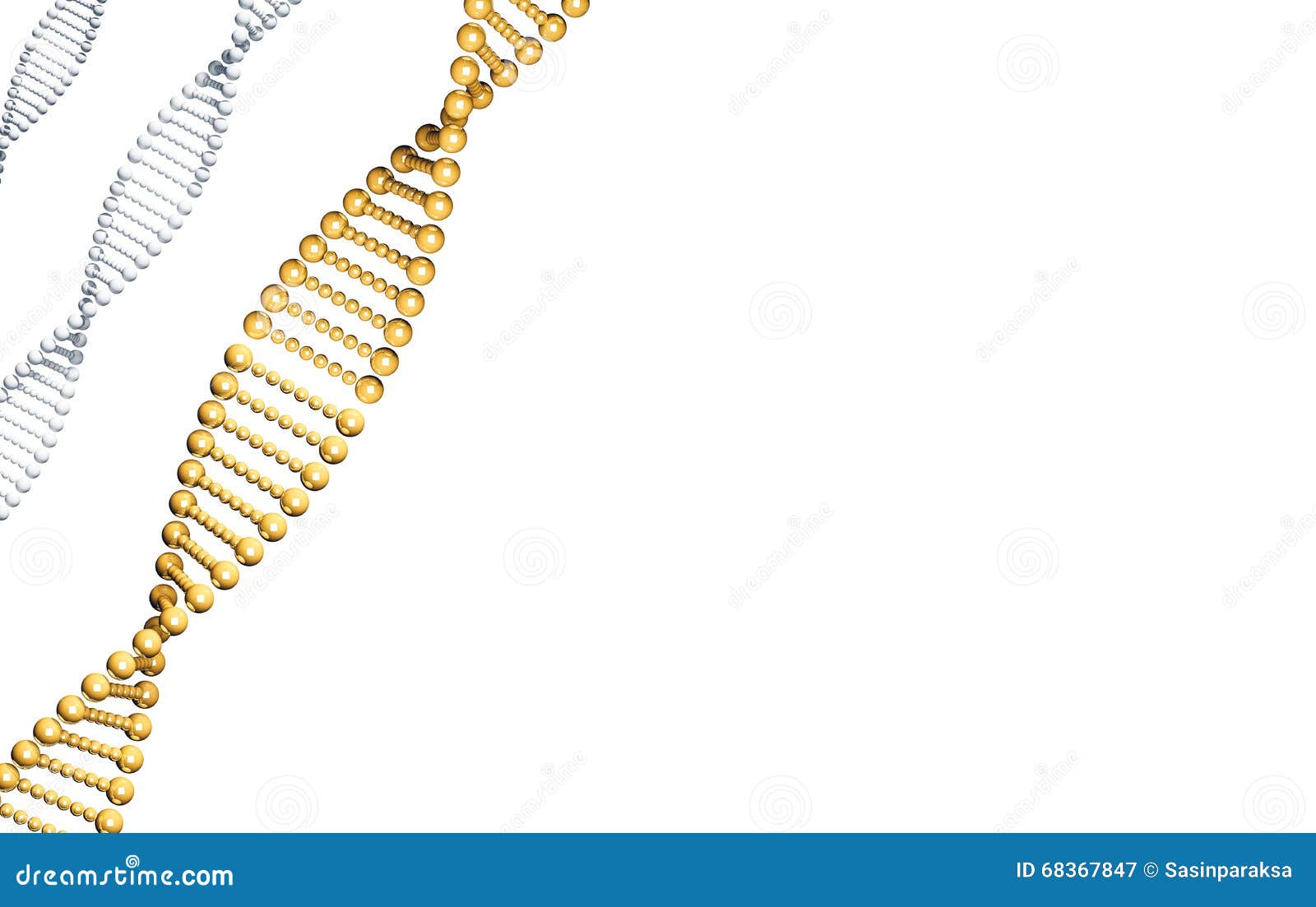 Golden DNA with White DNA with Copy Space, Isolated on White Background ...