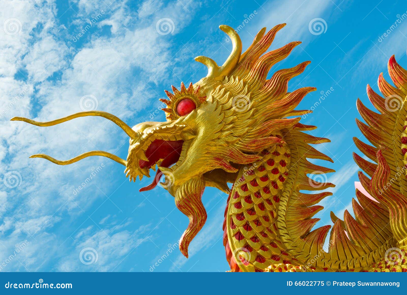 Golden dragon statue stock image. Image of ornament, gold - 66022775