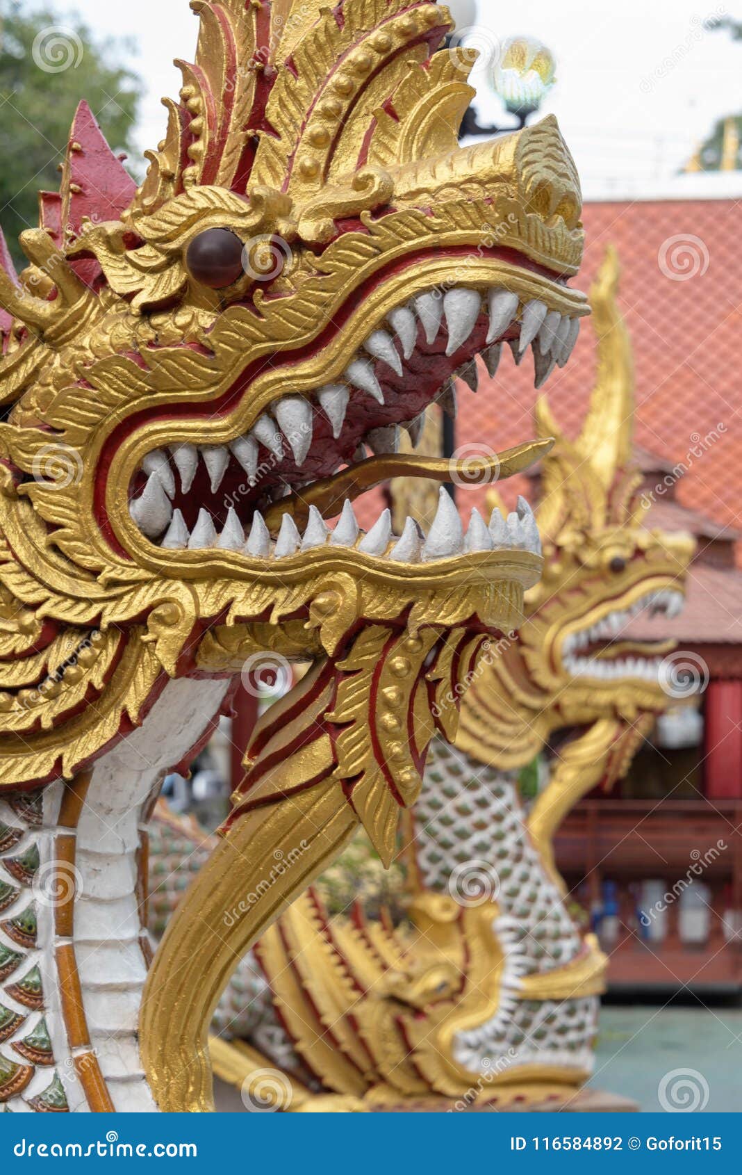 Golden Dragons Guarding a Temple Stock Photo - Image of chinese ...